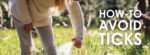 How To Tick Proof Your Backyard & Avoid Ticks This Season